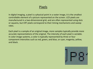Vector and bitmap | PPTX