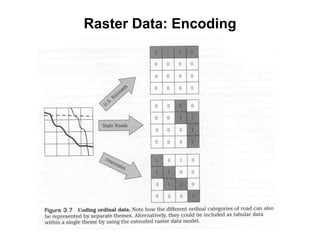 Modelo de dados vetorial e matricial - slides | PPT | Databases ...