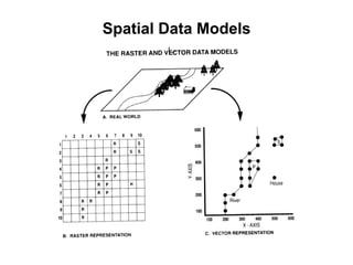 Modelo de dados vetorial e matricial - slides | PPT | Databases | Computer Software and Applications