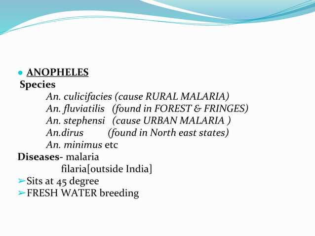 Vector and rodent control | PPTX