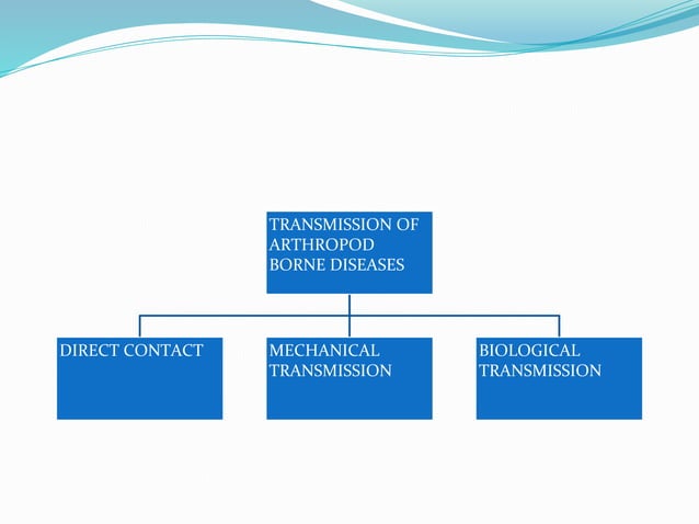 Vector and rodent control | PPTX