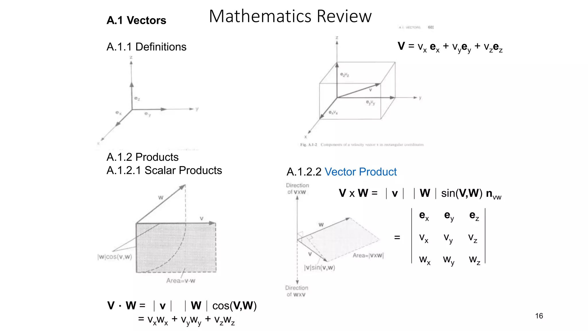 vector and tensor.pptx | Physics | Science
