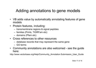 VectorBase gene sets | PPT