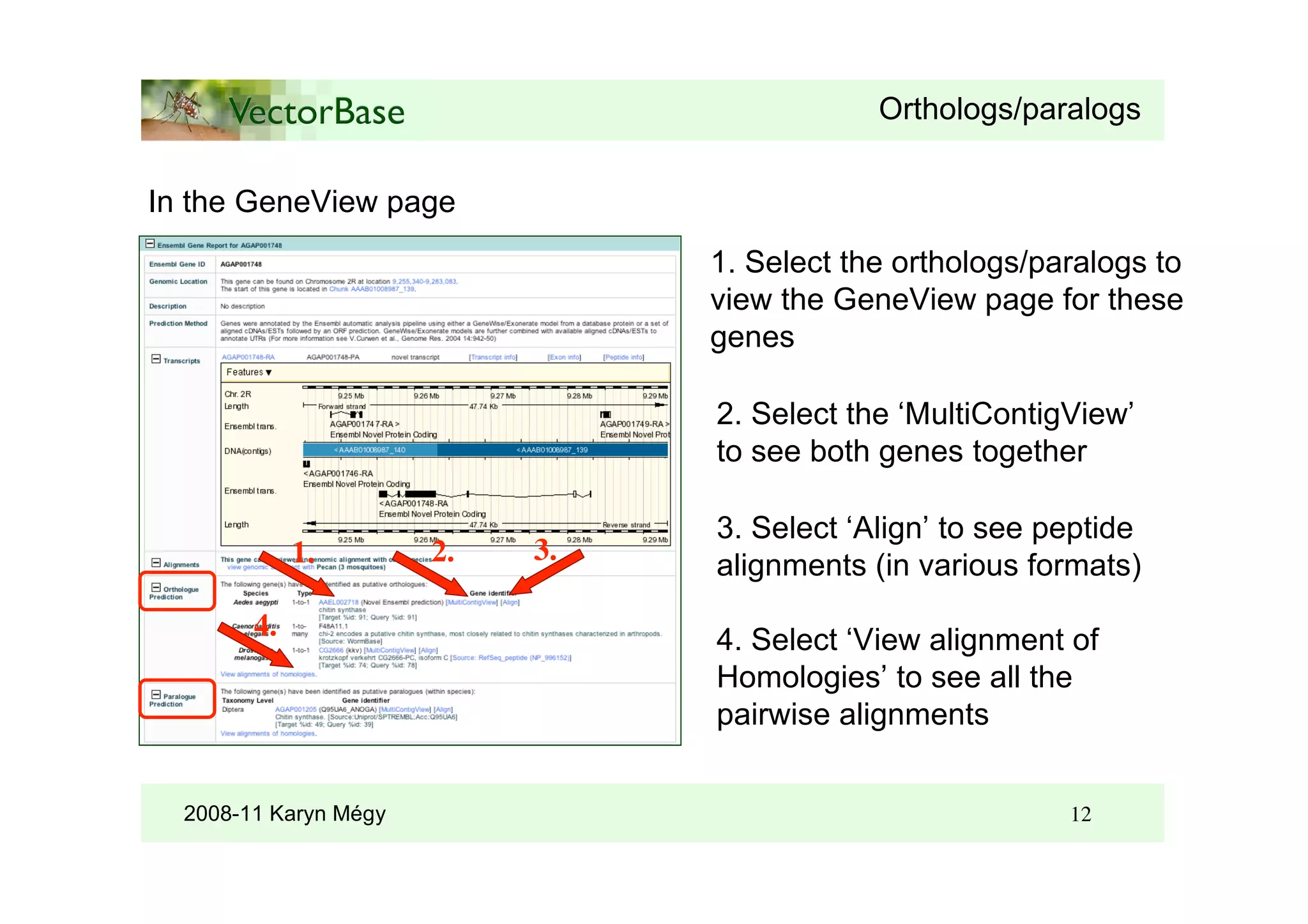 VectorBase Comparative data | PDF | Databases | Computer Software and Applications