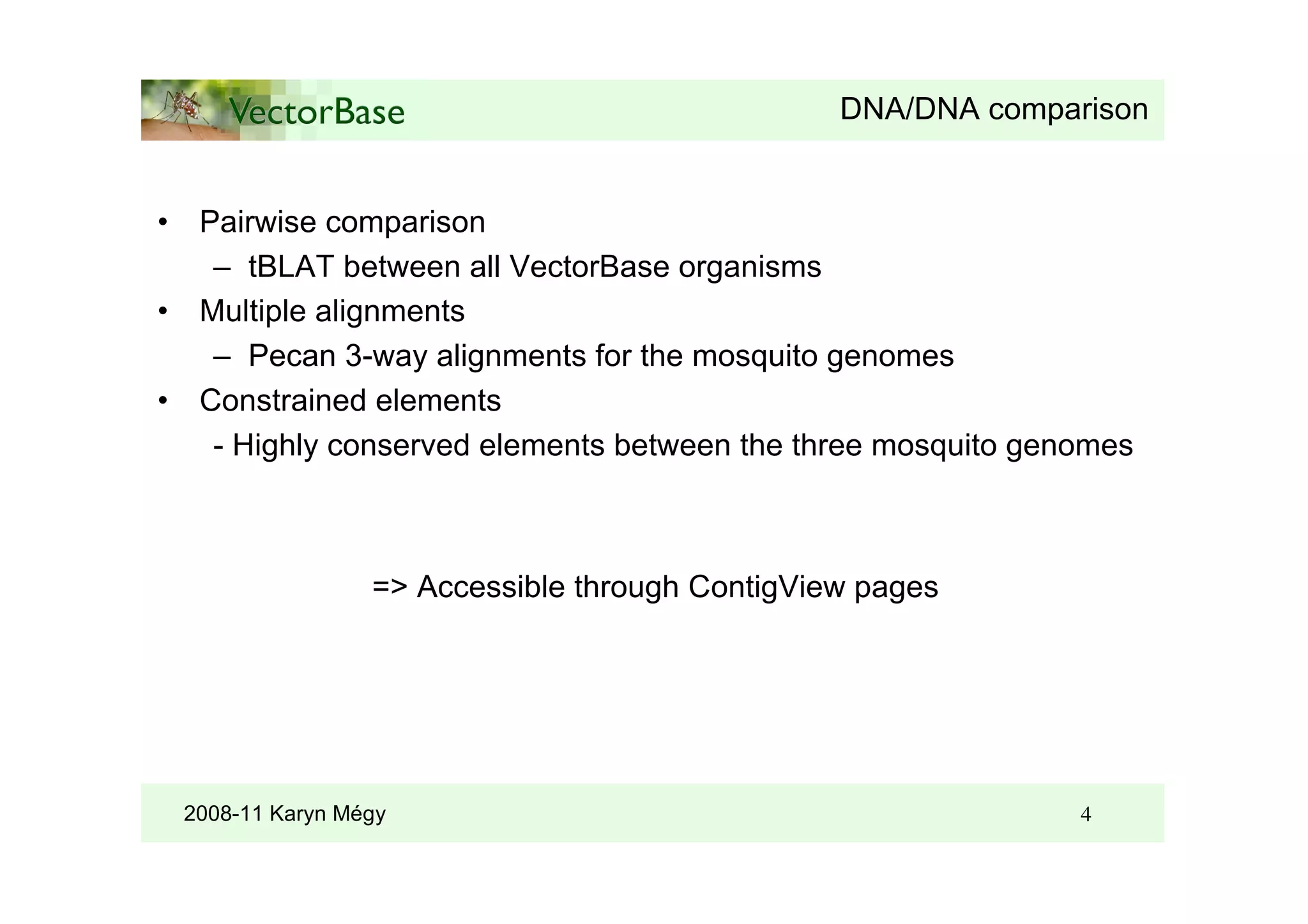 VectorBase Comparative data | PDF | Databases | Computer Software and Applications