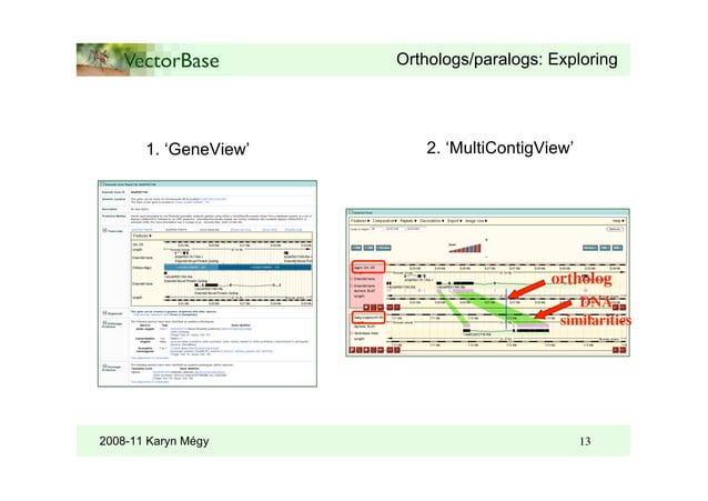 VectorBase Comparative data | PDF | Databases | Computer Software and Applications