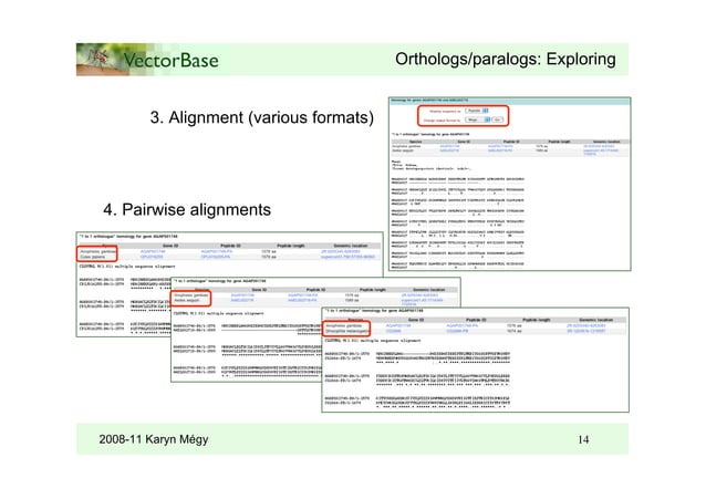 VectorBase Comparative data | PDF | Databases | Computer Software and Applications