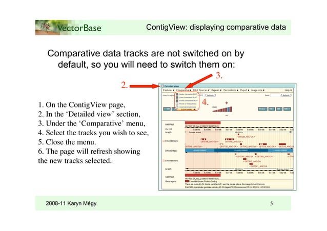 VectorBase Comparative data | PDF | Databases | Computer Software and Applications