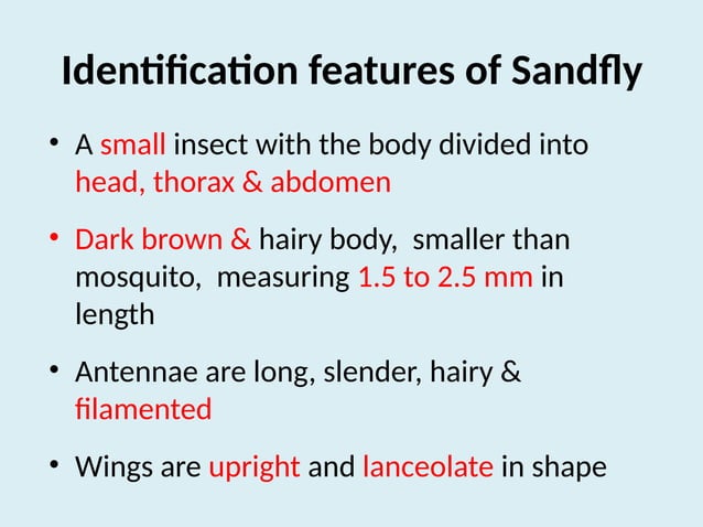 vector bionomics community medicine powerpoint | PPT