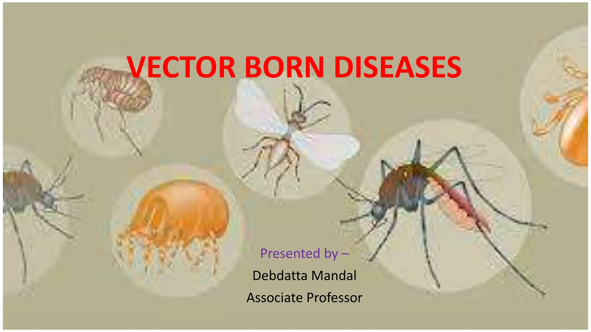 vector born disease for b.sc. nursing.pptx