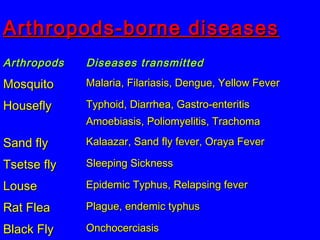 Vector born diseases | PPT