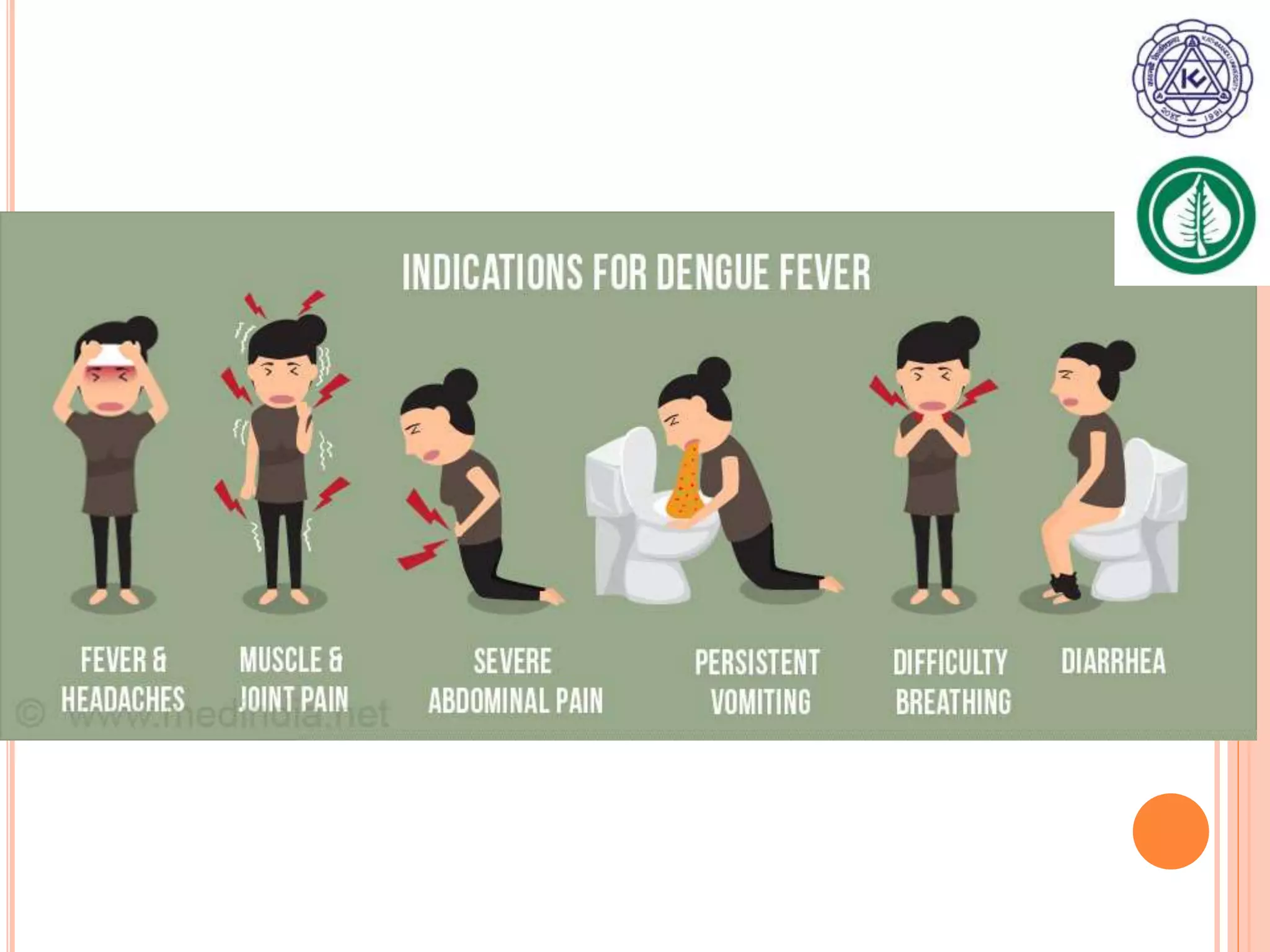 Vector borne disease | PPTX