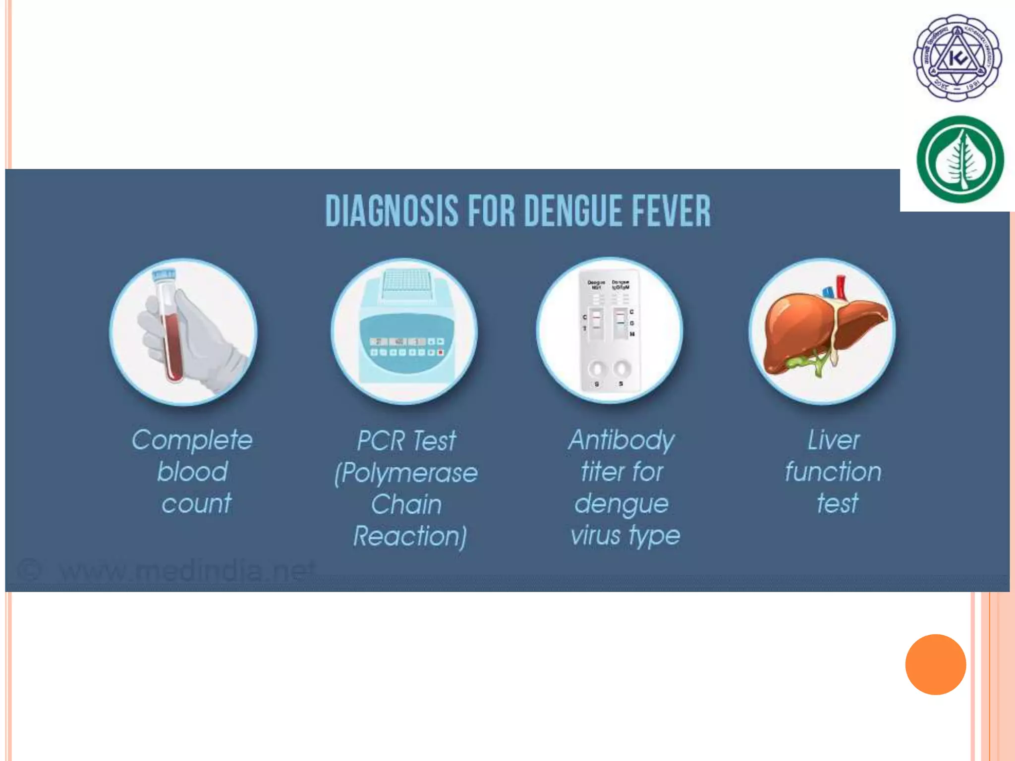 Vector borne disease | PPTX