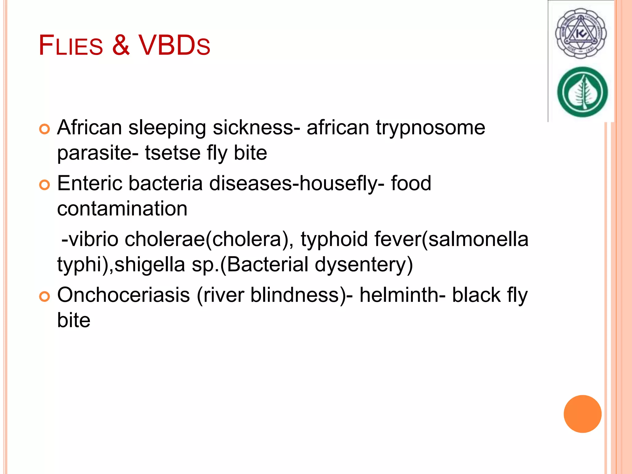 Vector borne disease | PPTX