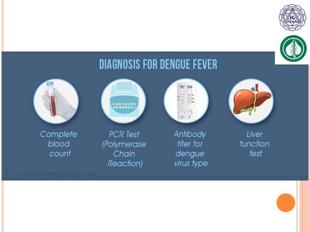 Vector borne disease | PPT