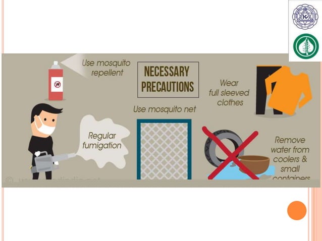 Vector borne disease | PPTX | Infectious Diseases | Diseases and Conditions