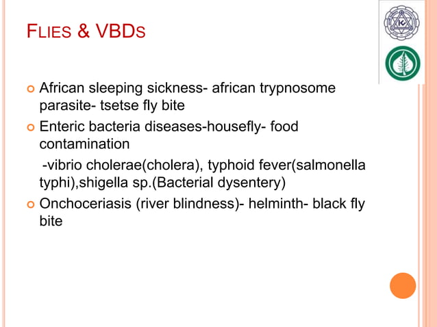 Vector borne disease | PPTX | Infectious Diseases | Diseases and Conditions
