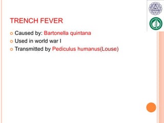 Vector borne disease | PPTX