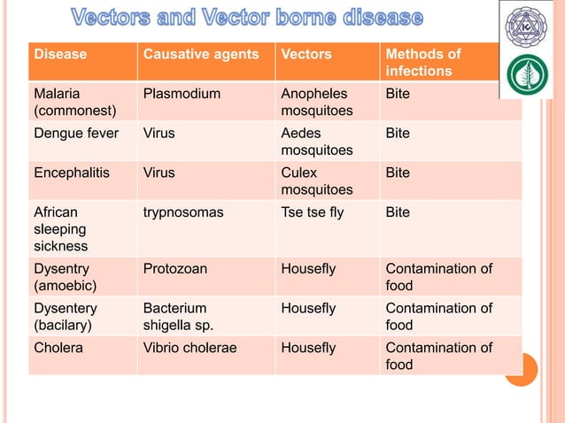 Vector borne disease | PPT
