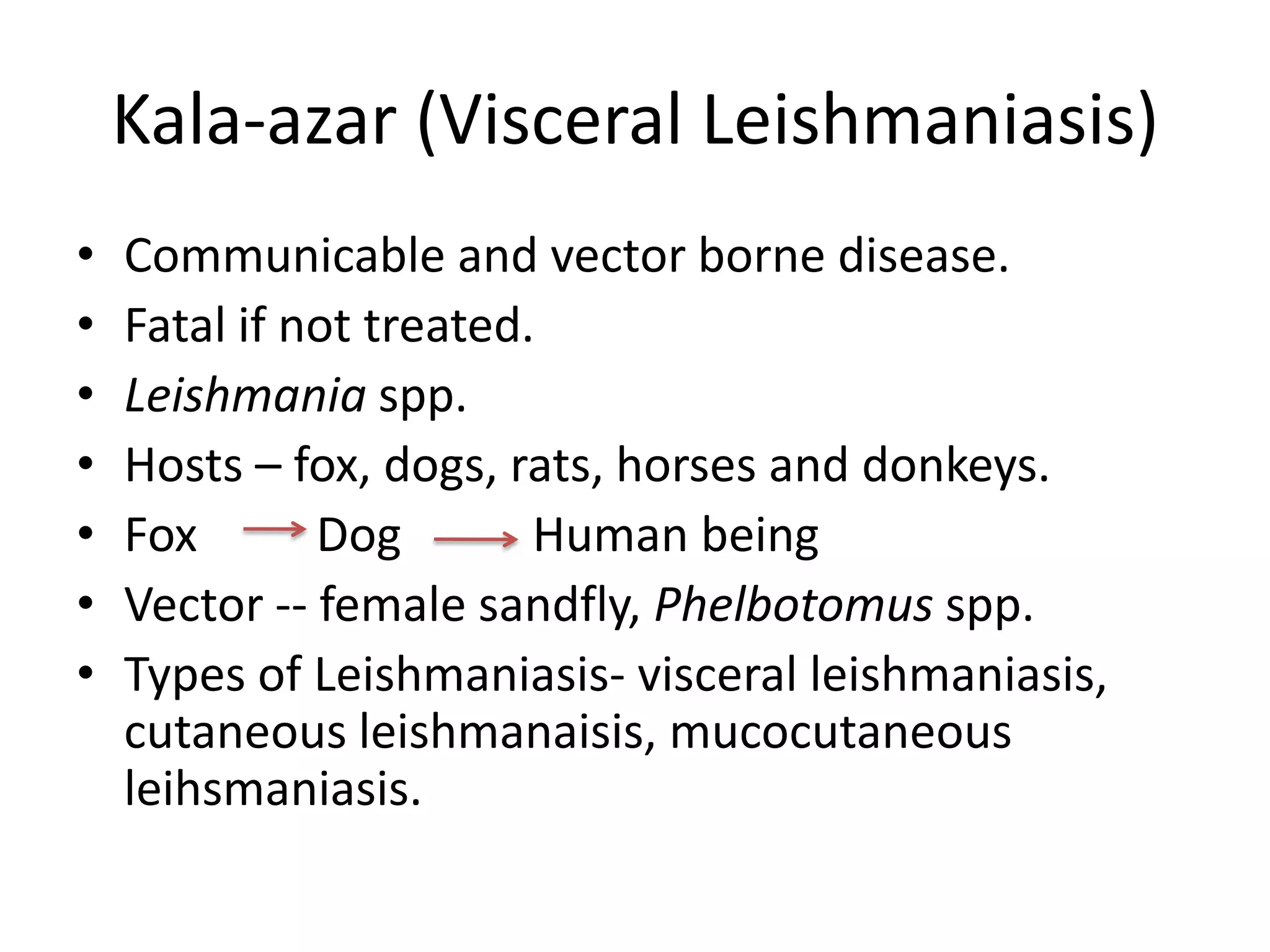 Vector borne disease -kala azar (visceral leishmaniasis) in nepal | PPTX