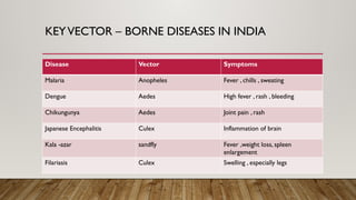 Vector borne disease & national vector borne disease.pptx