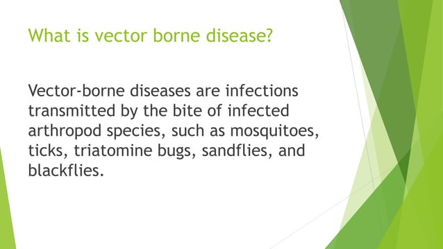 Vector borne disease | PPTX | Infectious Diseases | Diseases and Conditions