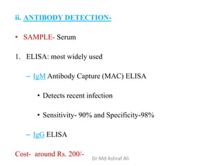 Vector borne disease presentation, final presentation | PPT
