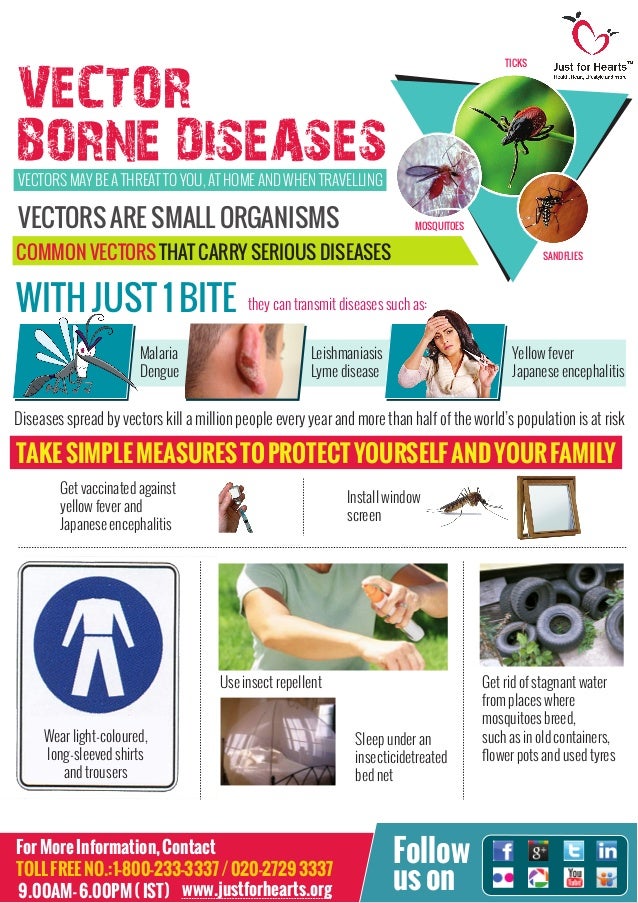 Tips on Vector borne diseases