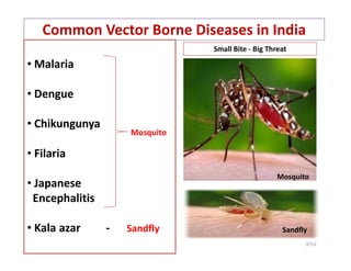 Vector borne diseases | PDF