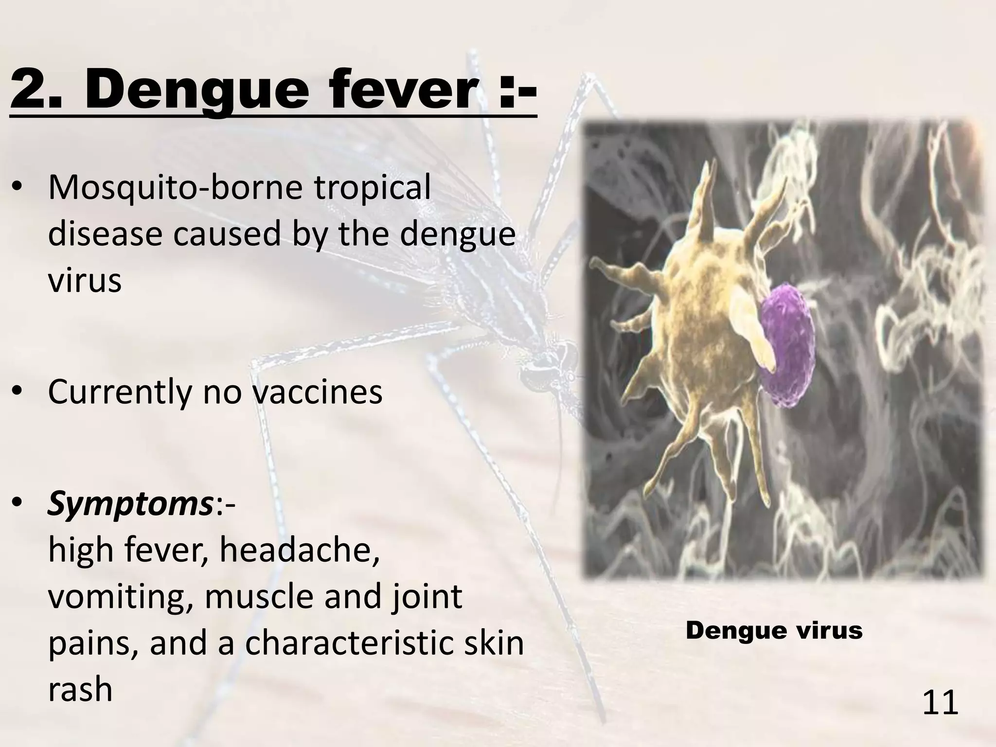 Vector borne diseases | PPTX