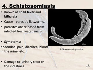 Vector borne diseases | PPTX