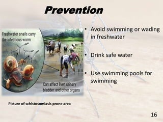 Vector borne diseases | PPTX