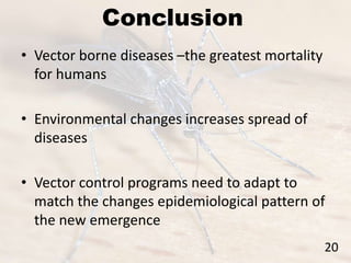 Vector borne diseases | PPTX