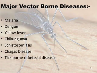 Vector borne diseases | PPTX