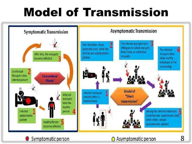 Examples of vector borne transmission - serystatus