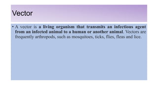 Vector borne diseases.pptx