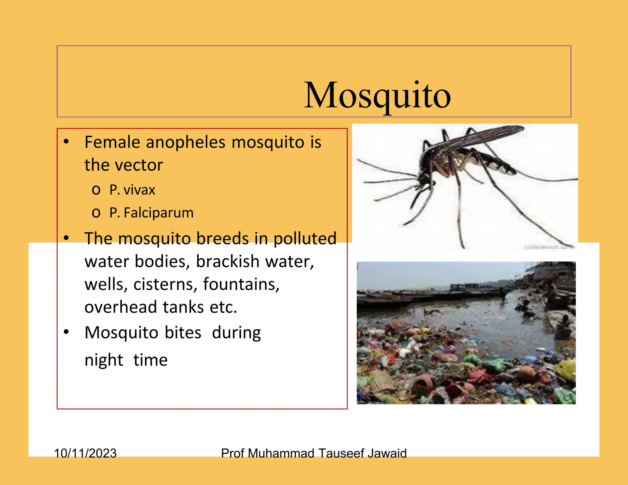 Vector Borne Diseases.pptx