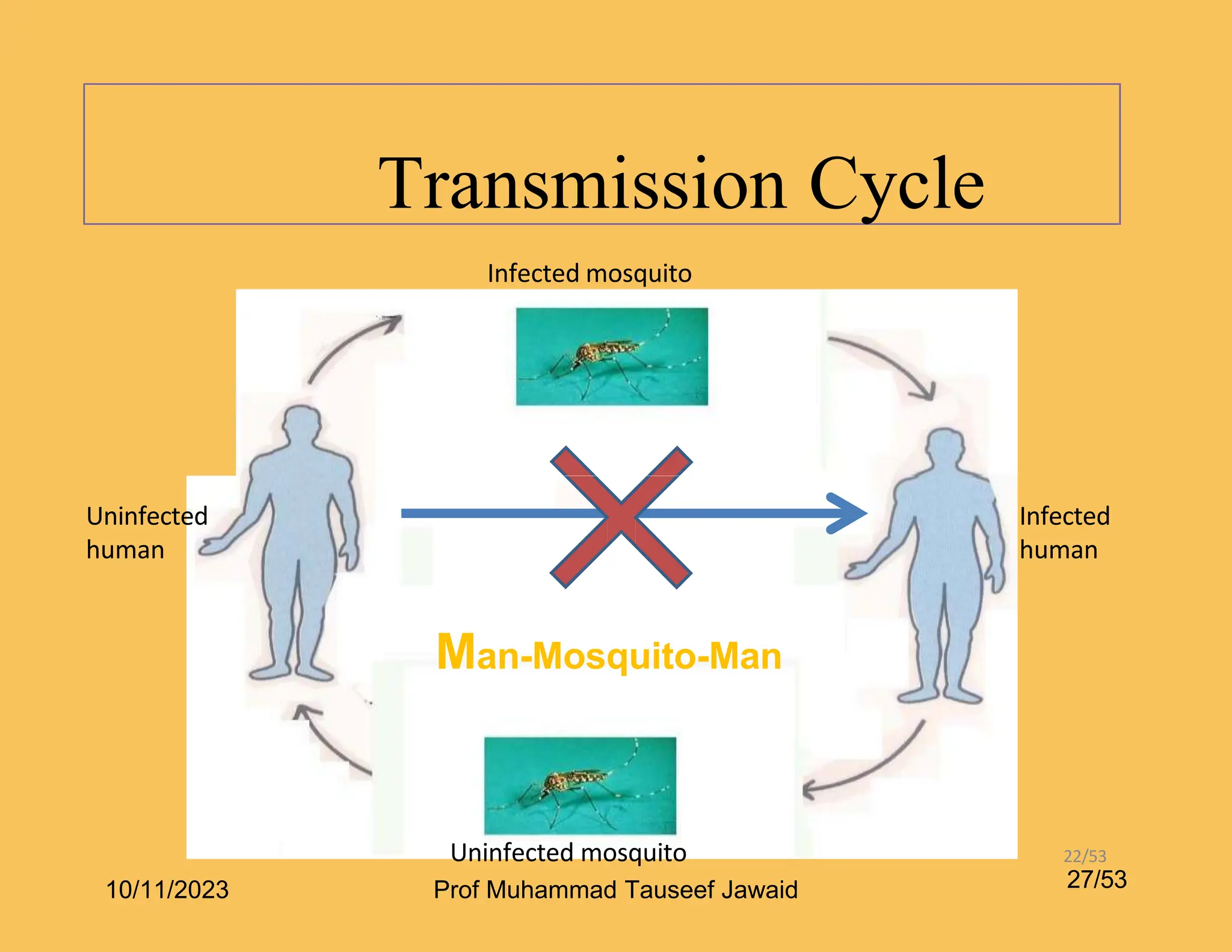 Vector Borne Diseases.pptx