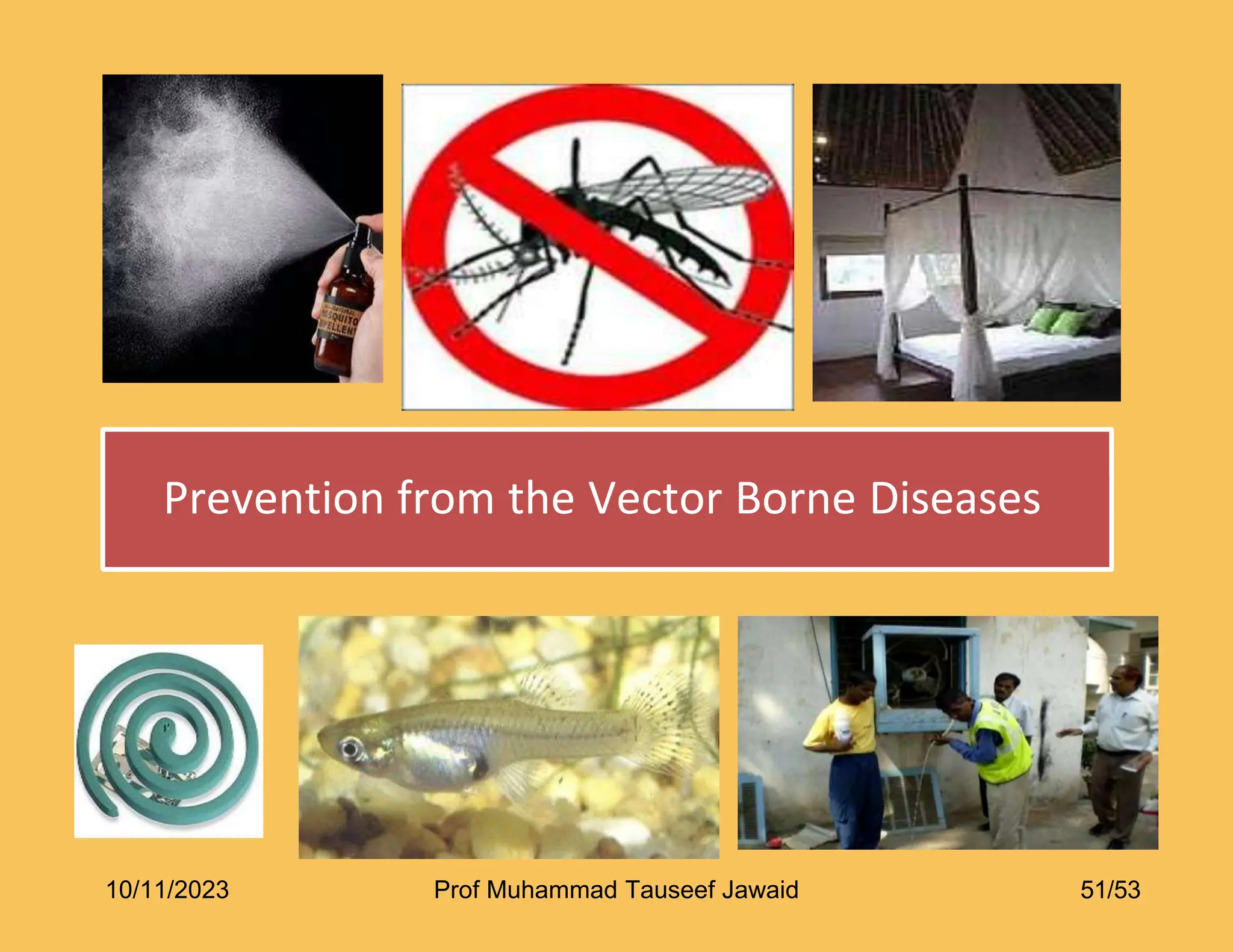 Vector Borne Diseases.pptx