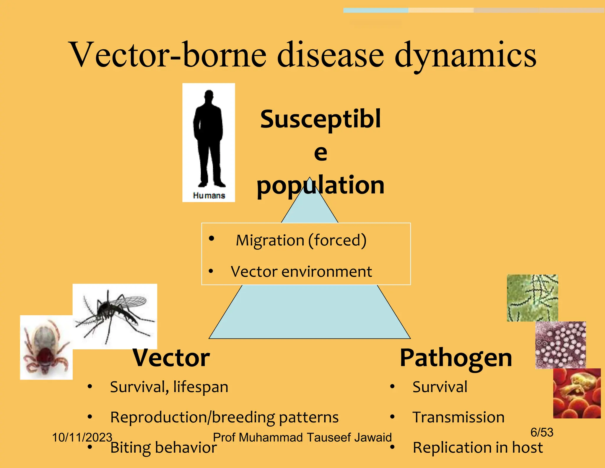 Vector Borne Diseases.pptx