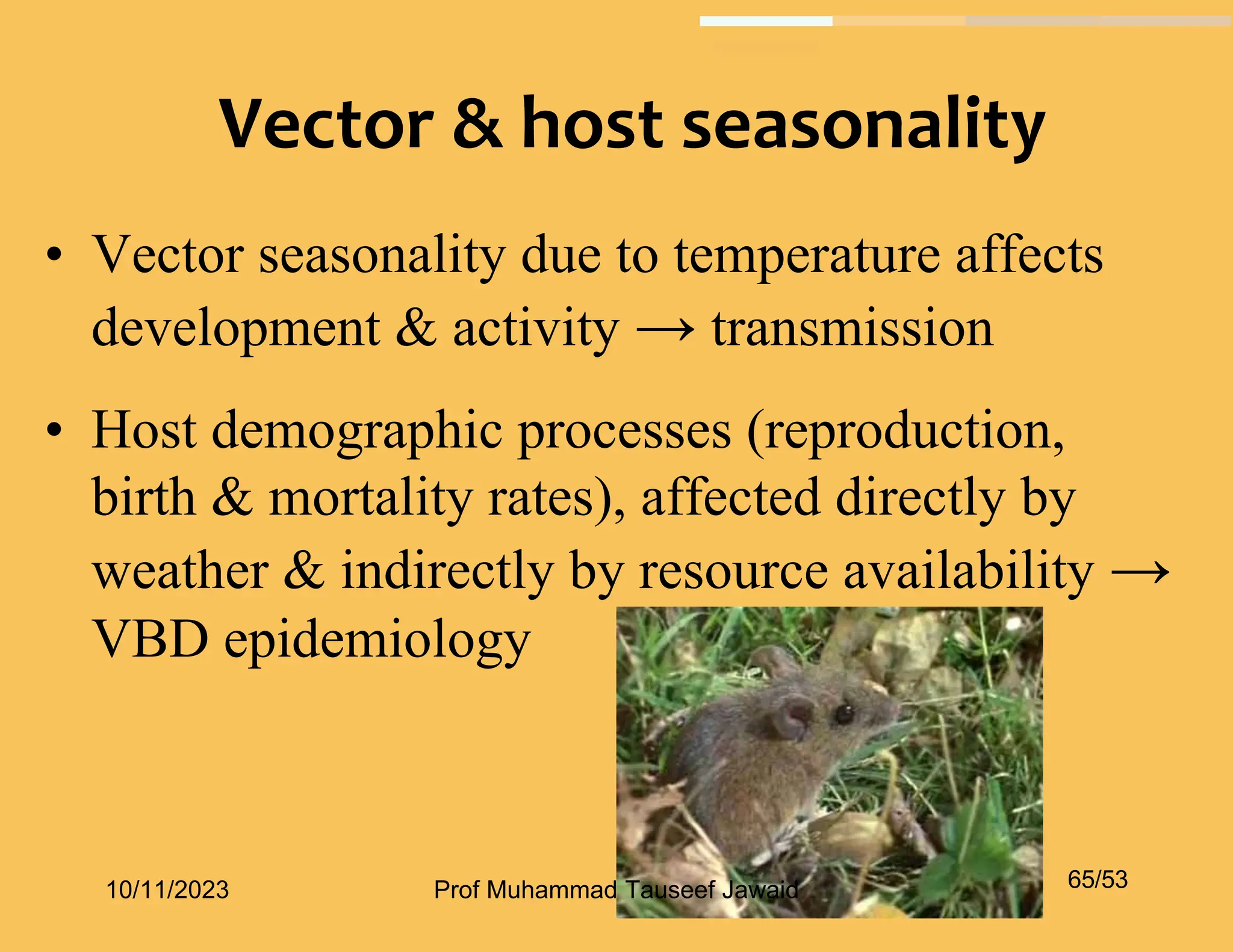 Vector Borne Diseases.pptx