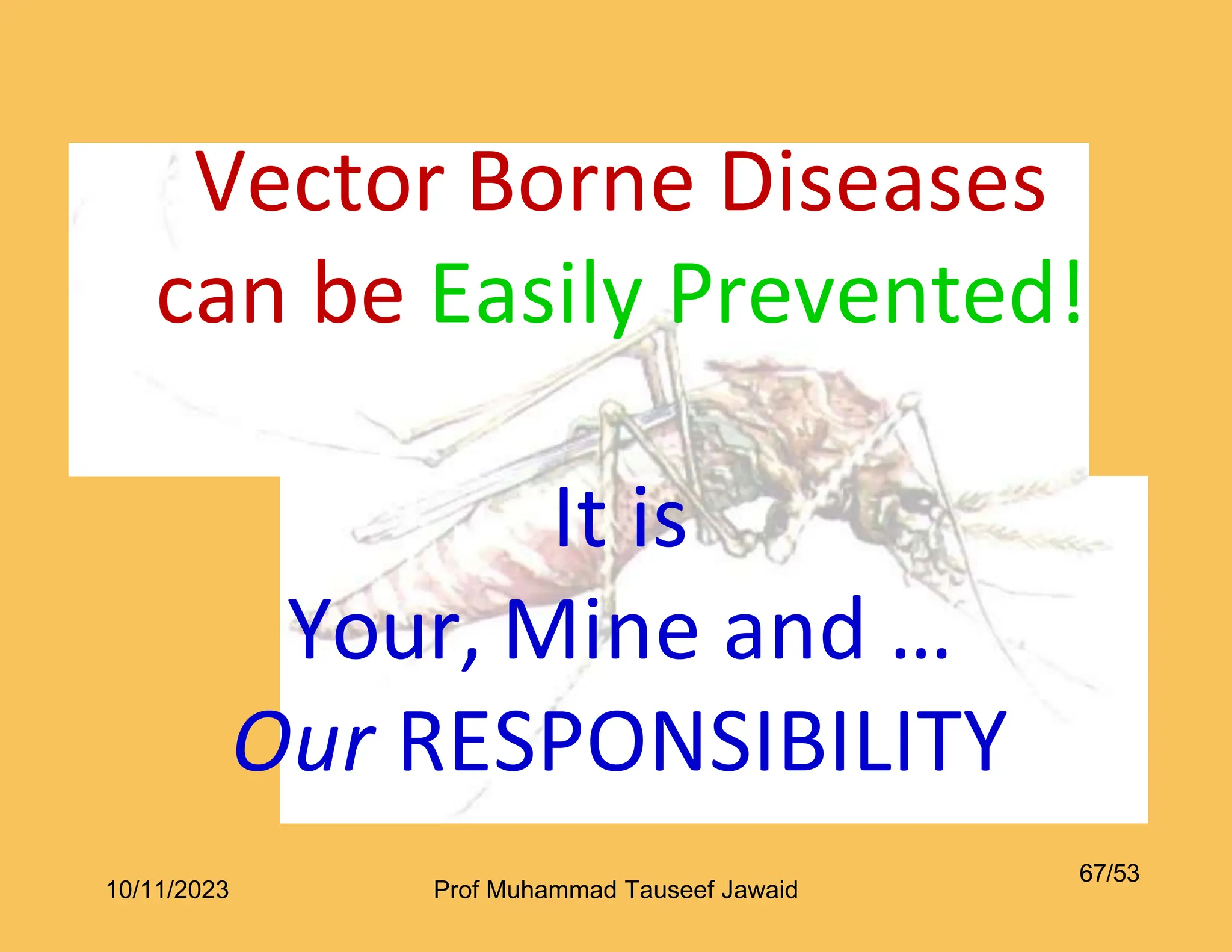 Vector Borne Diseases.pptx