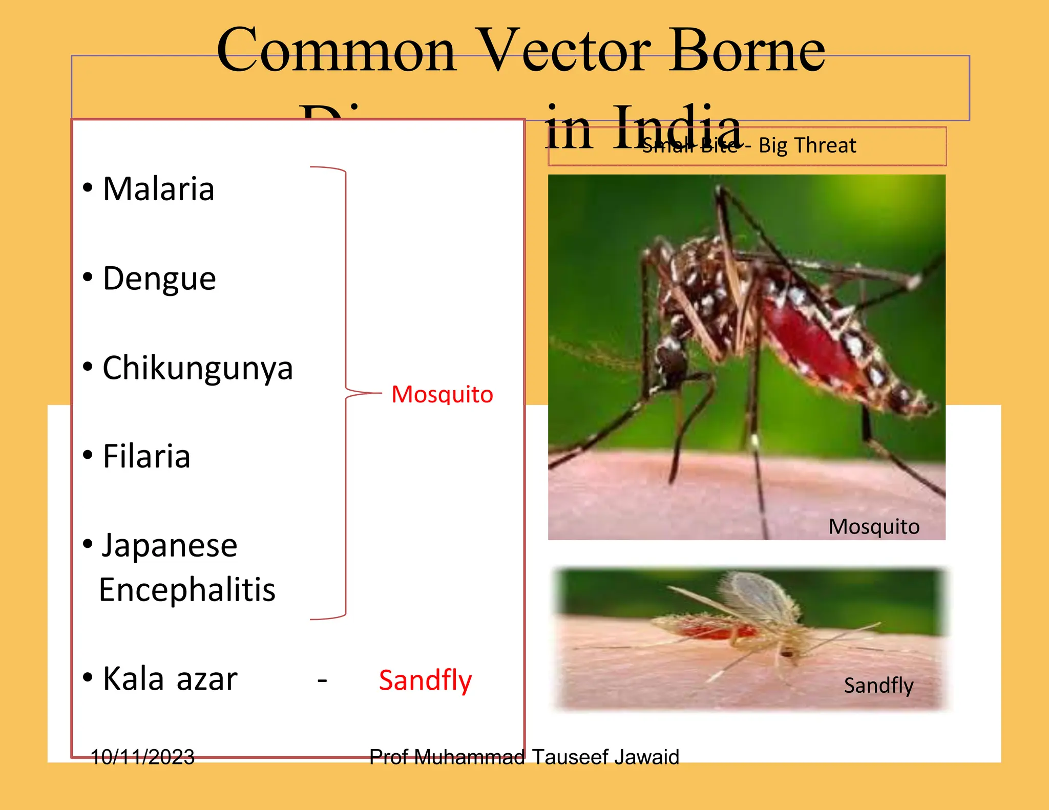 Vector Borne Diseases.pptx