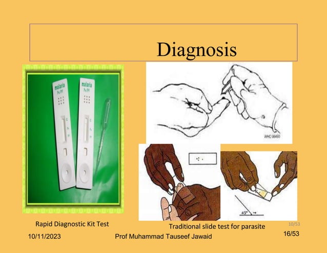 Vector Borne Diseases.pptx | Infectious Diseases | Diseases and Conditions