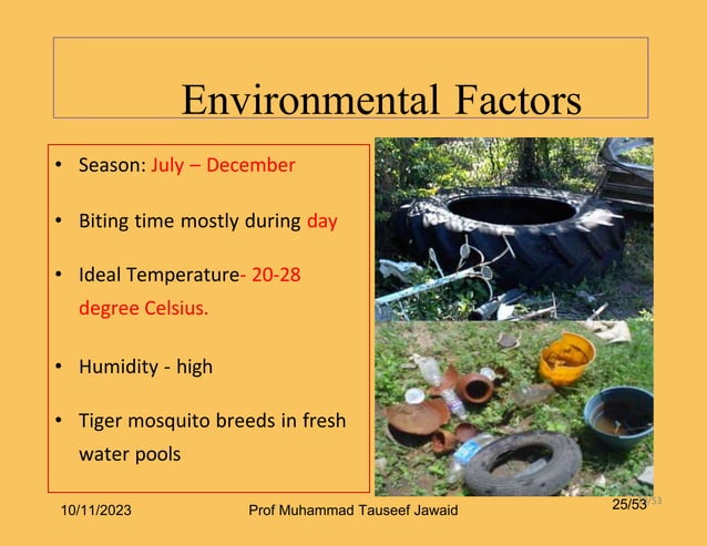 Vector Borne Diseases.pptx | Infectious Diseases | Diseases and Conditions