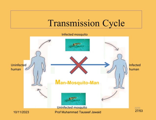 Vector Borne Diseases.pptx | Infectious Diseases | Diseases and Conditions