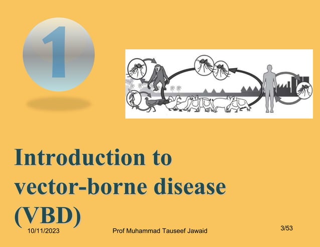 Vector Borne Diseases.pptx | Infectious Diseases | Diseases and Conditions