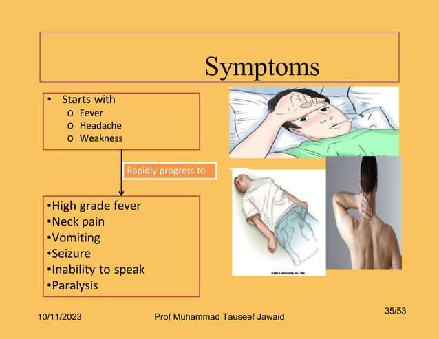 Vector Borne Diseases.pptx | Infectious Diseases | Diseases and Conditions