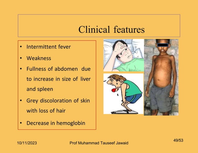 Vector Borne Diseases.pptx | Infectious Diseases | Diseases and Conditions