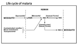 Comprehensive Overview of Malaria, Leishmaniasis, and Filariasis ...